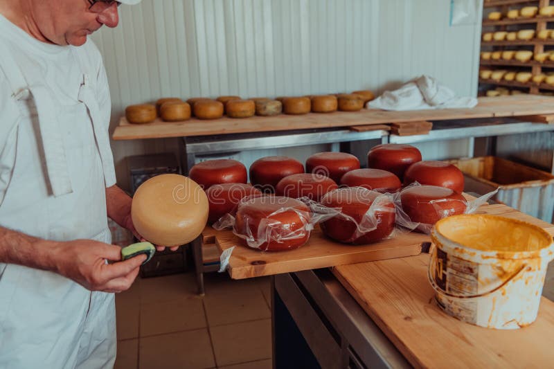 Cheese Maker Working in the Industry for Manual Production of Homemade ...