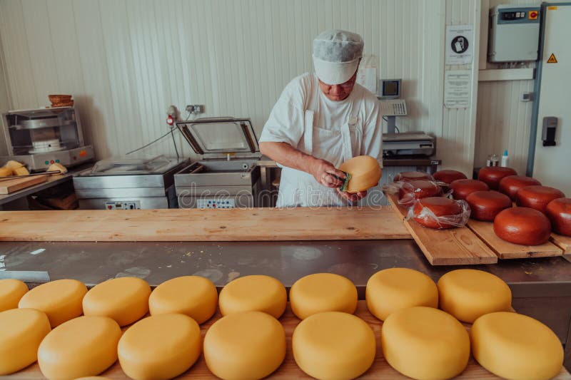 Cheese Maker Working in the Industry for Manual Production of Homemade ...
