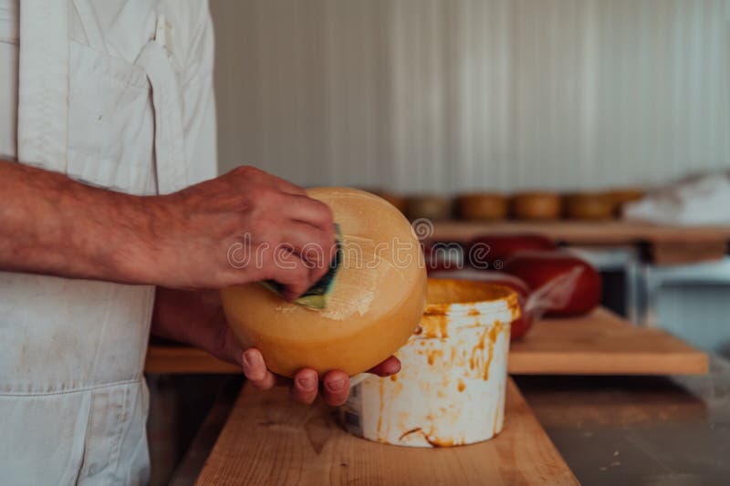 Cheese Maker Working in the Industry for Manual Production of Homemade ...
