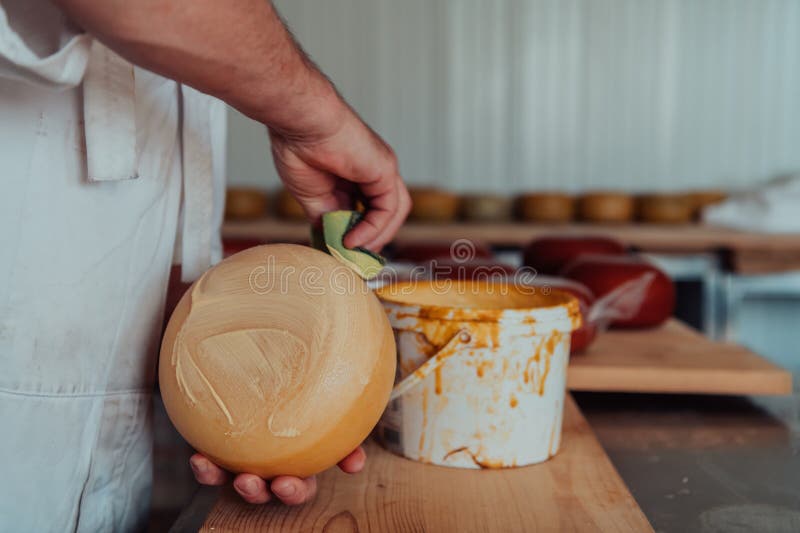 Cheese Maker Working in the Industry for Manual Production of Homemade ...