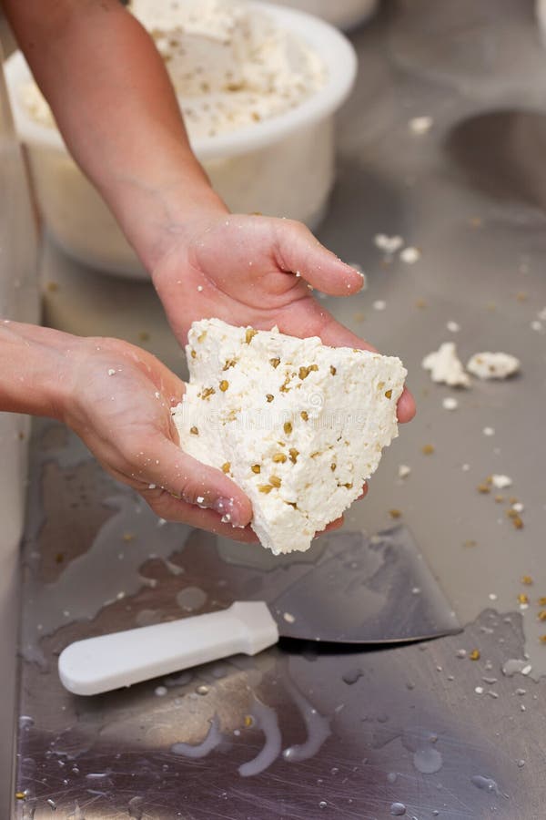 Cheese process stock image. Image of crust, bathing, round - 31303051