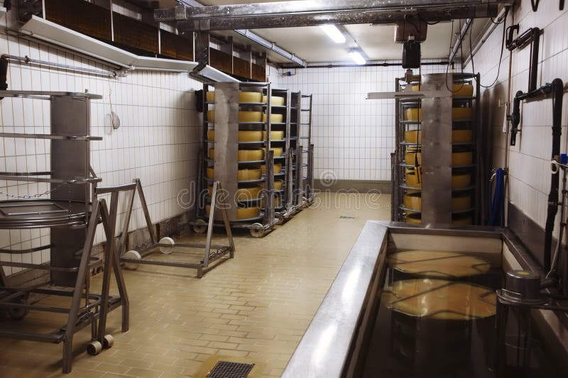 Cheese Making Machine in Modern Dairy Stock Photo - Image of device ...