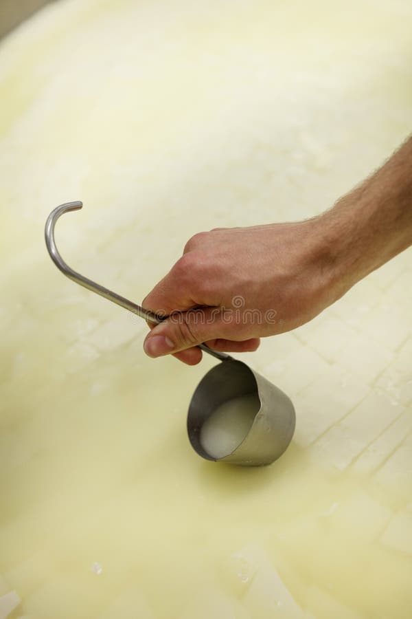 Cheese Making Process Number 1 Stock Photo - Image of delicious, food ...