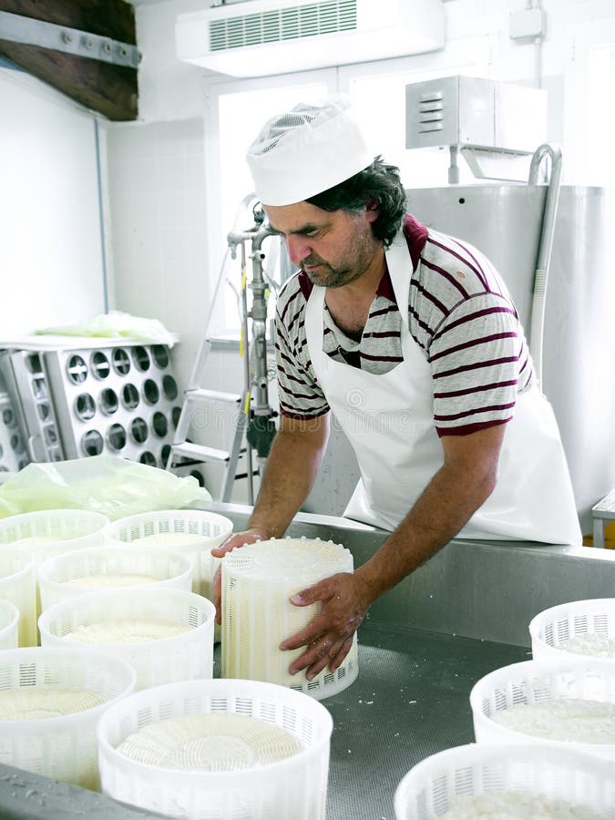 Cheese Making - Turning the Fresh Cheeses. Stock Image - Image of ...