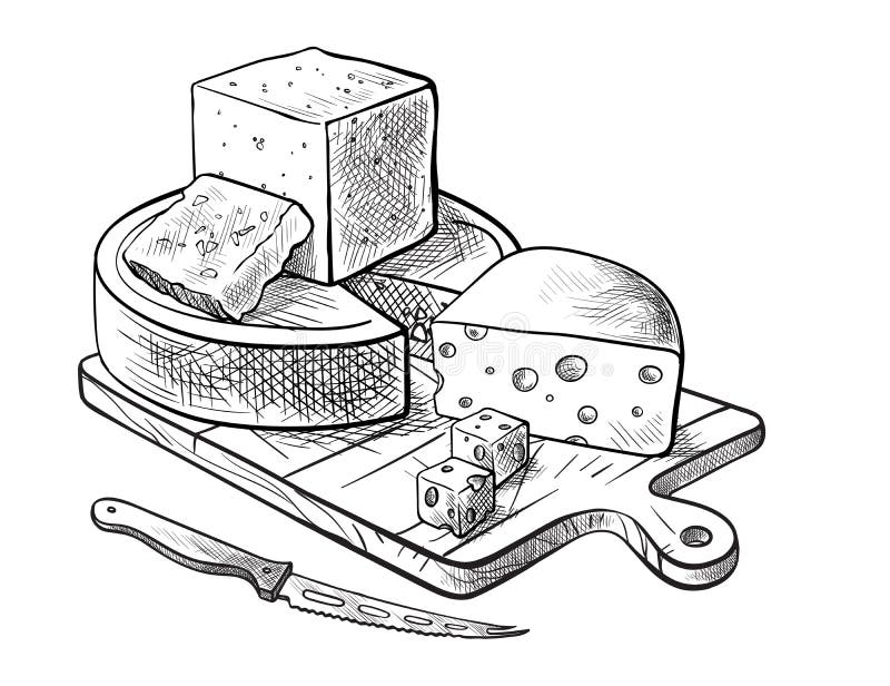 Cheese Making Various Types of Cheese Set of Vector Sketches Stock ...