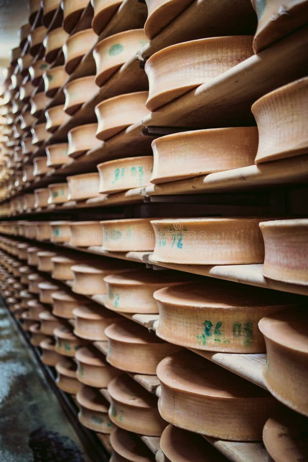 Cheese maturing cellar stock image. Image of food, alps - 84728771