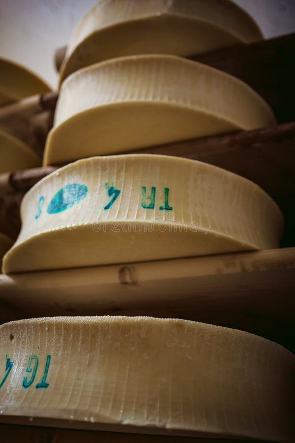 Cheese maturing cellar stock image. Image of cream, maturing - 84748699
