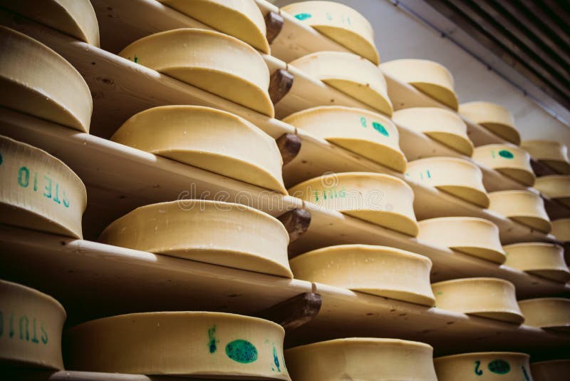 Cheese maturing cellar stock image. Image of dairy, france - 84749597