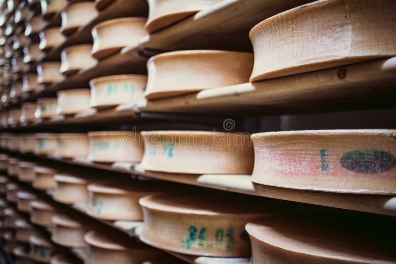 Cheese maturing cellar stock photo. Image of maturing - 84750874
