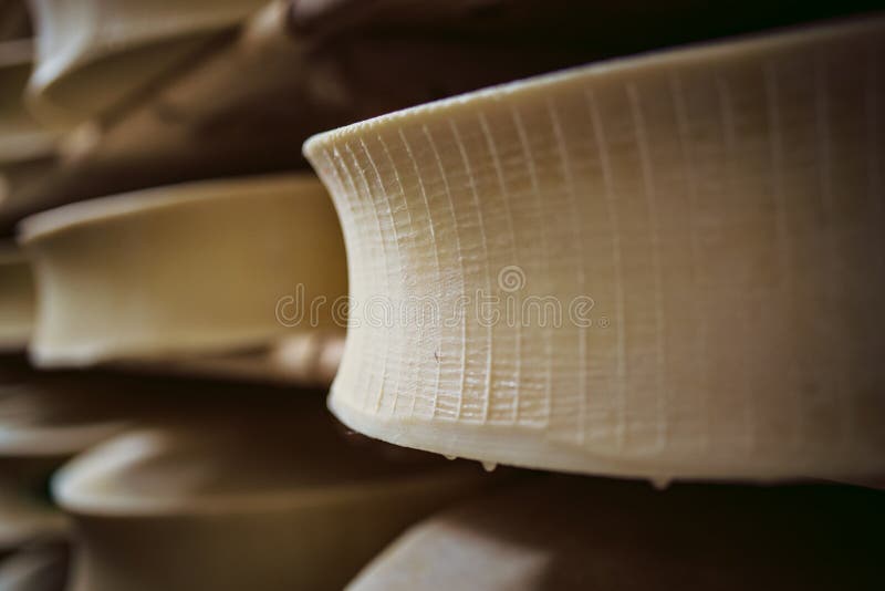 Cheese maturing cellar stock image. Image of maturing - 84751059