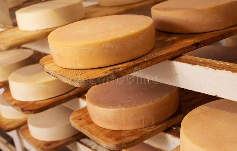 Cheese maturing storehouse stock photo. Image of padano - 35890836