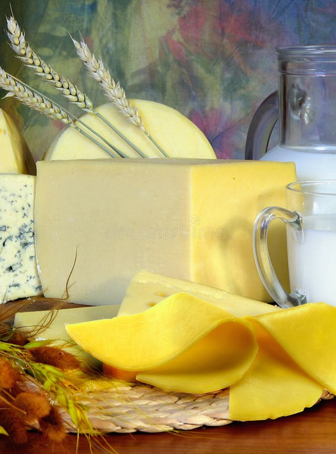 Cheese and milk stock photo. Image of culture, freshness - 4947904