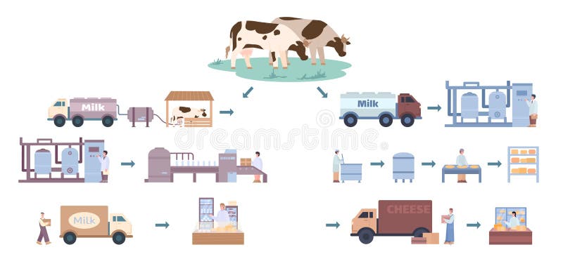 Cheese and Milk Production Process on Factory with Workers and ...