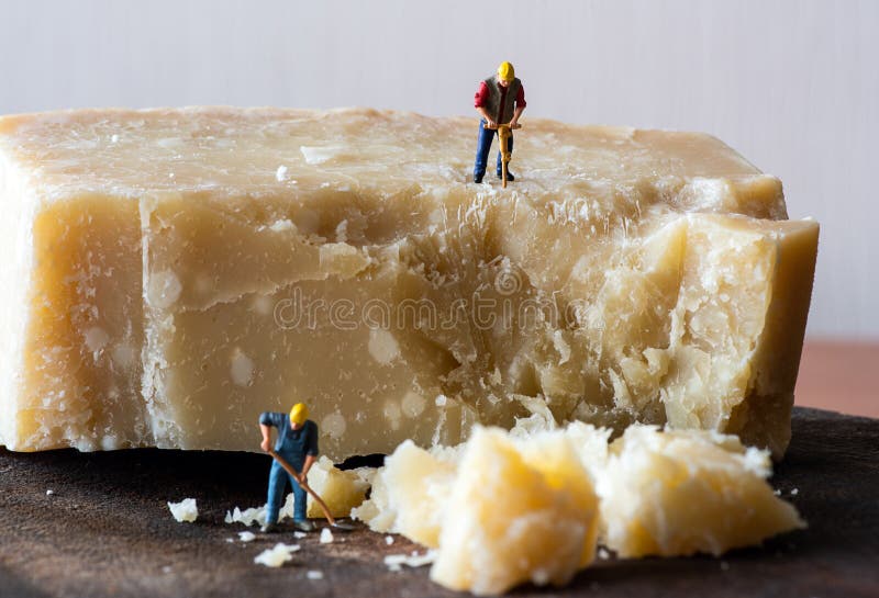 Cheese mining process stock photo. Image of microworld - 179066338