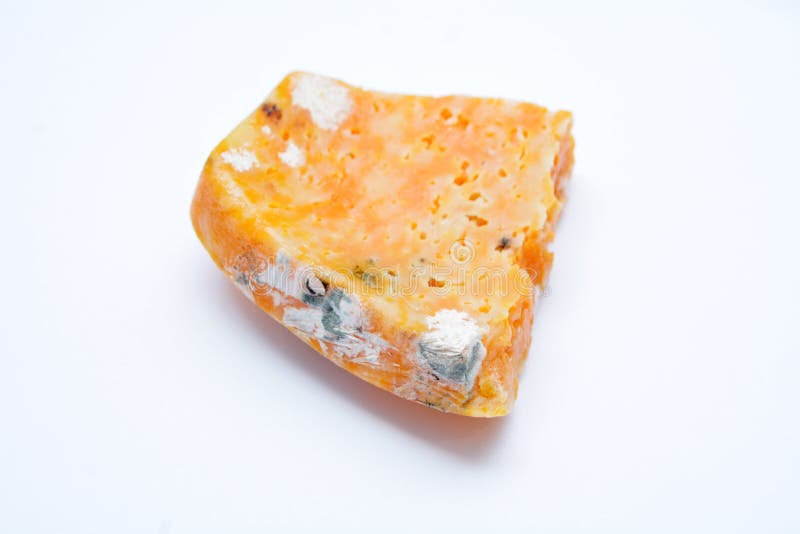 Cheese Mold on Isolated White Stock Image - Image of mouldy, white ...