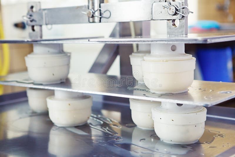 Cheese Molds in the Press Machin Stock Image - Image of equipment ...