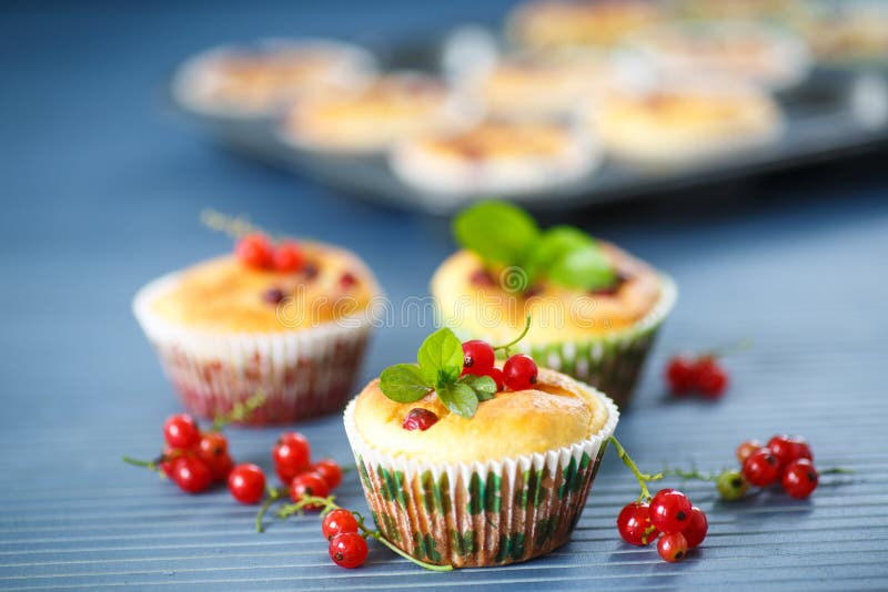 Cheese Muffins with Red Currants Stock Photo - Image of meal, baked ...