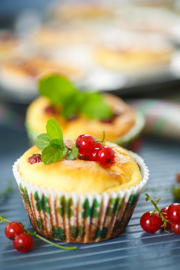 Cheese Muffins with Red Currants Stock Photo - Image of health, dish ...