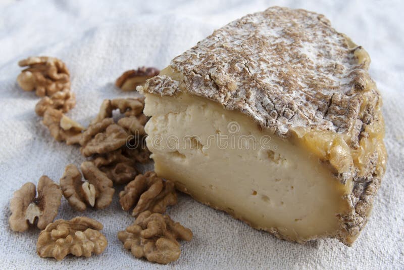 Cheese and nuts stock image. Image of gastronomy, mold - 28828767
