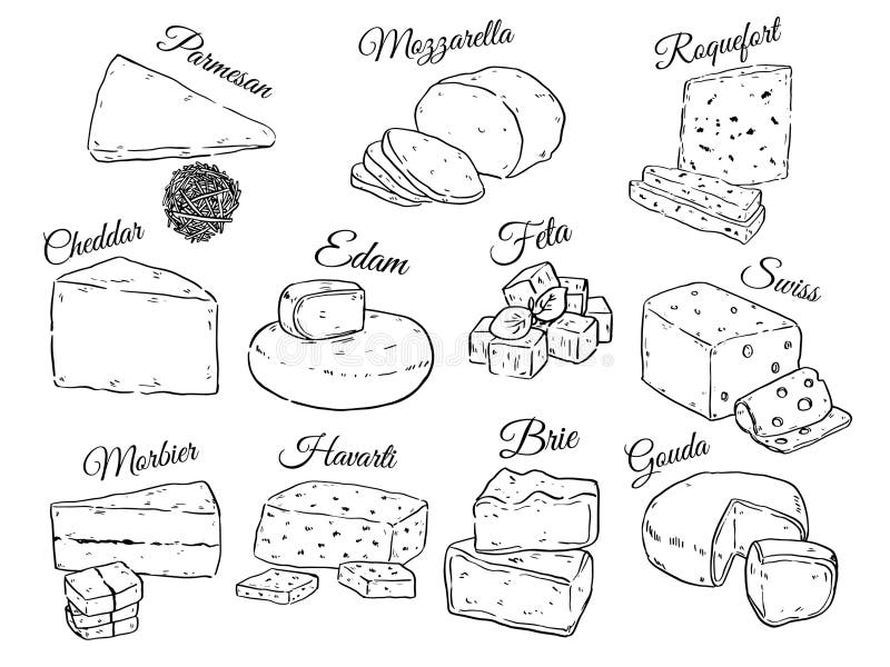 288 Cheese Outline Drawing Set3 Stock Vector - Illustration of engraved ...
