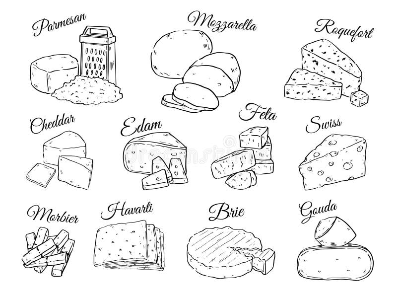 290 Cheese Outline Drawing Set5 Stock Vector - Illustration of brie ...