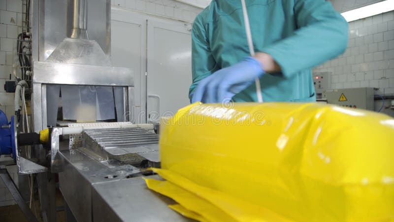 Cheese Packaging Process. Close Up of Cheese Processing at Food Factory ...