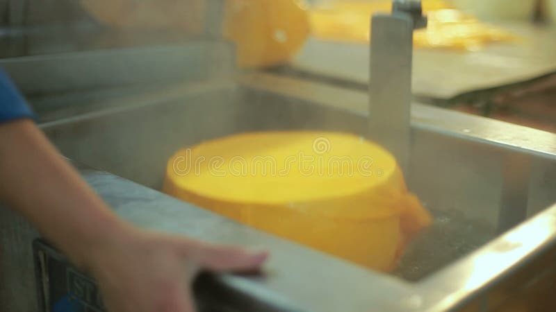 Cheese Packaging Process. Production Food. Cheese Factory Manufacturing ...
