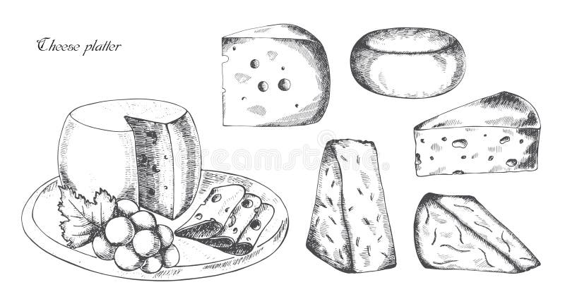 Cheese Platter, Vector Illustration Stock Vector - Illustration of ...