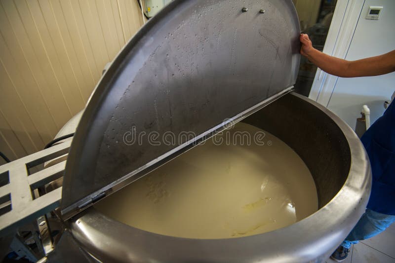 Cheese Production at Dairy Farm Stock Photo - Image of farm, cheese ...