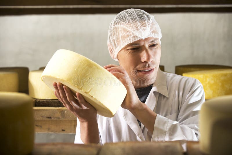 Cheese Production at Factory Stock Photo - Image of food, equipment ...