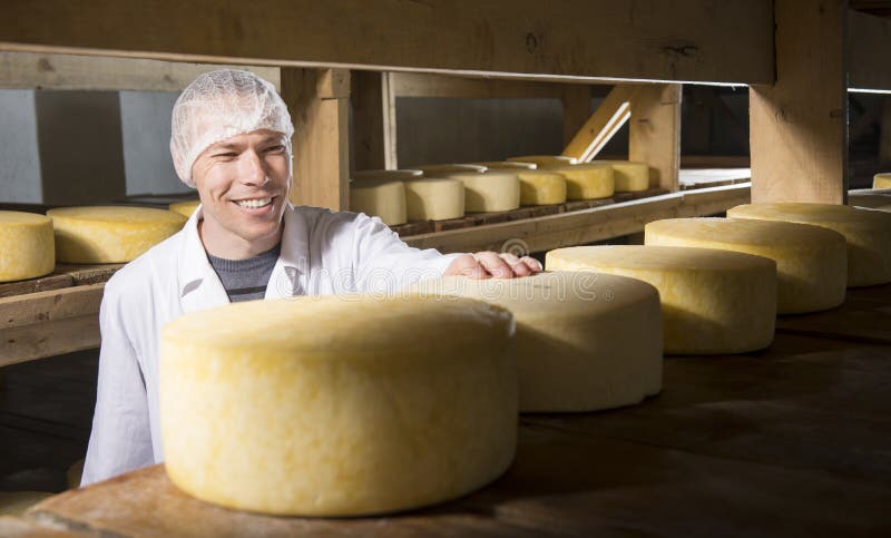 Cheese Production at Factory Stock Photo - Image of cheese ...