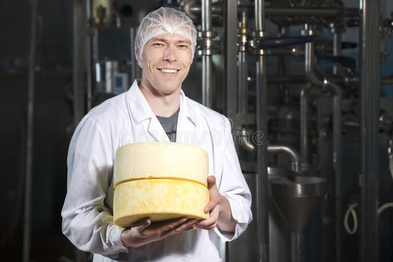 Cheese Production at Factory Stock Photo - Image of cheesemaking ...