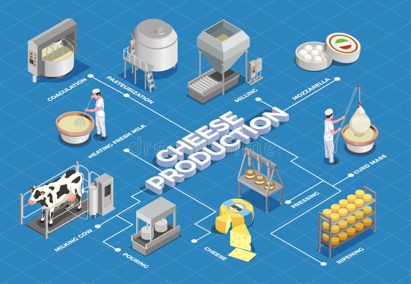 Cheese Production Isometric Flowchart Stock Vector - Illustration of ...