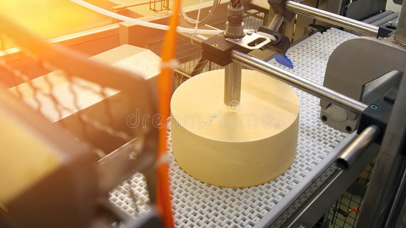 Cheese Production Process in Modern Dairy Facility Showcases Automated ...