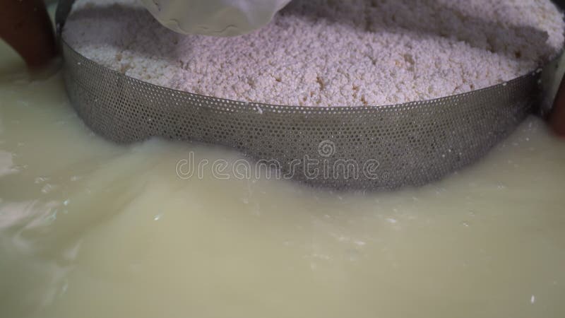 Cheese Production. Separation of Whey from Curd in a Tank Stock Footage ...