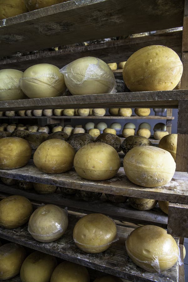 Cheese in Ripening Cellar on Familiar Industry Stock Photo - Image of ...