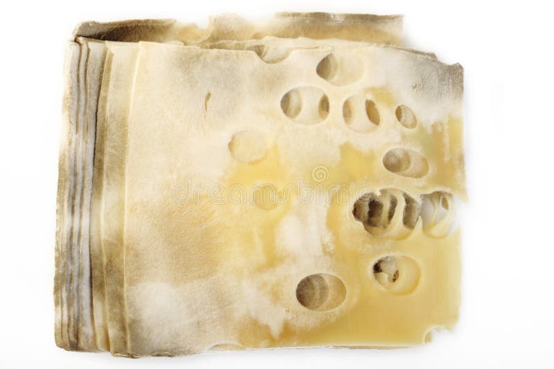 Rotten cheese stock image. Image of cheese, microorganism - 76267031