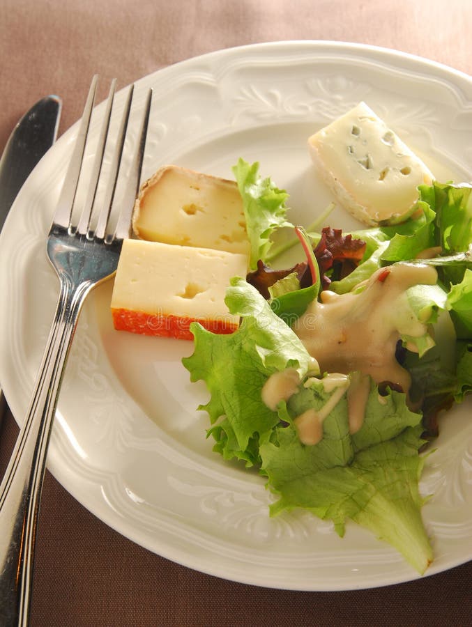 Cheese salad platter stock image. Image of cuisine, vegetable - 24304469