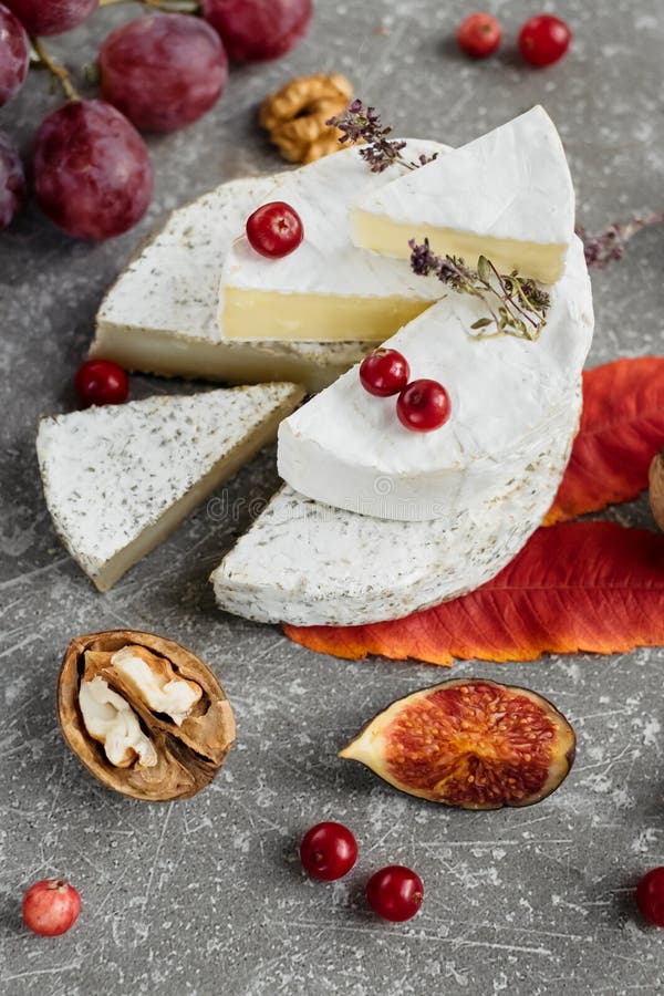 Cheese Selection on Concrete Grey Background. Cheese Platter with ...