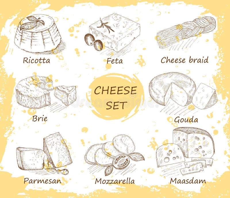 Cheese set stock vector. Illustration of concept, prepared - 59538707
