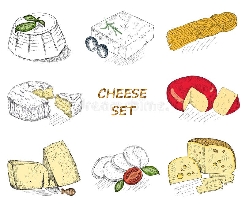 Cheese set stock vector. Illustration of icon, doodle - 59796171