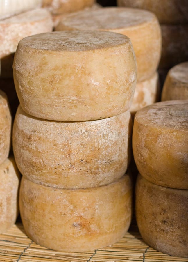 Cheese stock image. Image of milk, dairy, italian, forms - 42981455