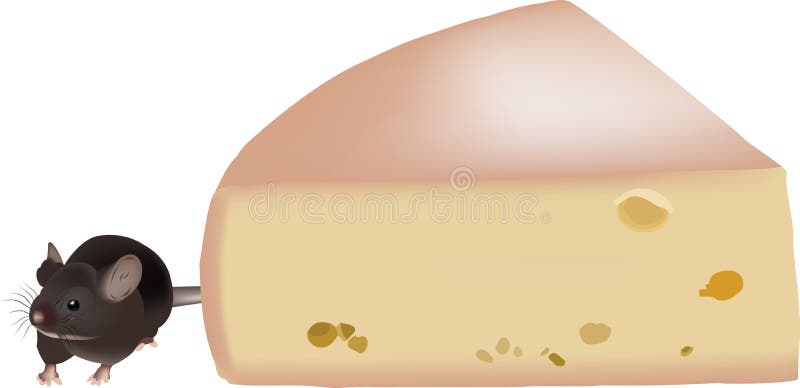 Cheese Shape with Rat Rodent Stock Vector - Illustration of mammal ...