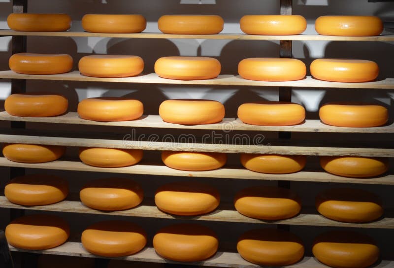 Cheese on shelves stock image. Image of inside, dutch - 46019099