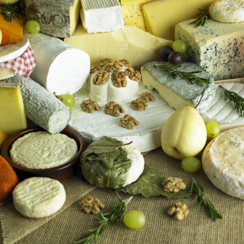 Cheese still life stock photo. Image of abundance, rosemary - 21982184
