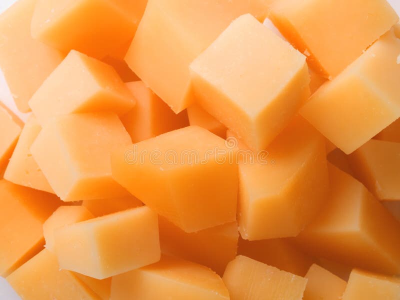 Cheese still life stock photo. Image of 1000009427, cooked - 48869392