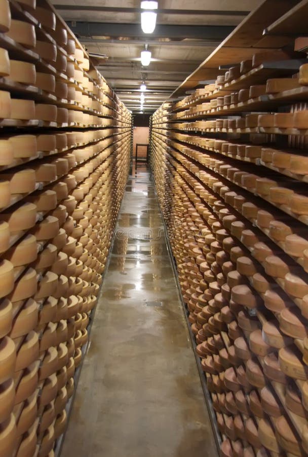 Cheese in Cellar stock image. Image of storeroom, maturation - 6270277