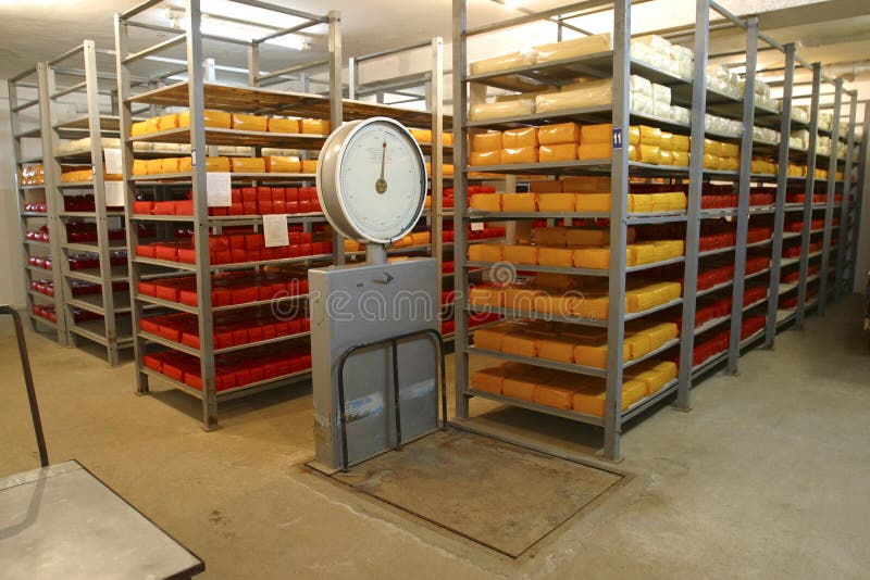 Cheese storage in dairy stock image. Image of business - 1916253