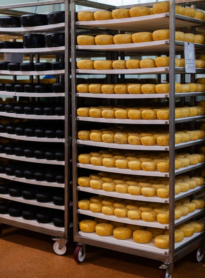 Cheese storage stock photo. Image of plenty, storing, stacks - 5698412