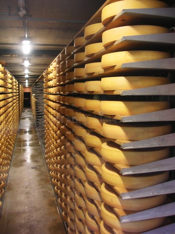 Cheese store stock image. Image of yellow, shelves, cheese - 100723